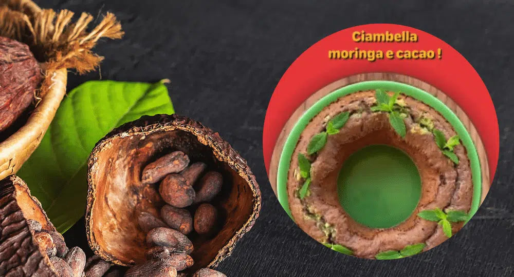 Recipe for Moringa and cocoa bundt cake — RedMoringa